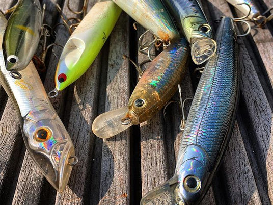 Lure Fishing Nation | Pêche aux leurres du bar brochet et de la truite