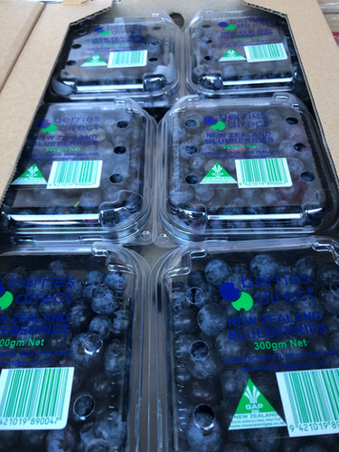 Fresh Blueberry | Berries Direct