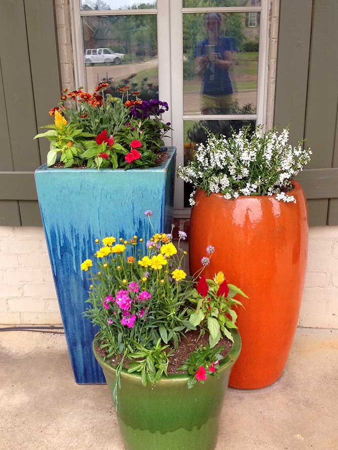 Mimi Martinson | martinsons