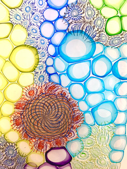 Griffith Glass | DelishGlass | United States