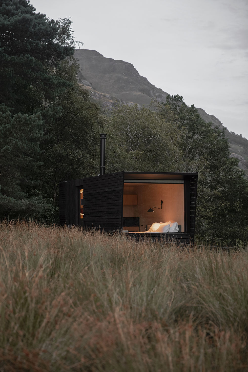 Q&A with Adam Storey