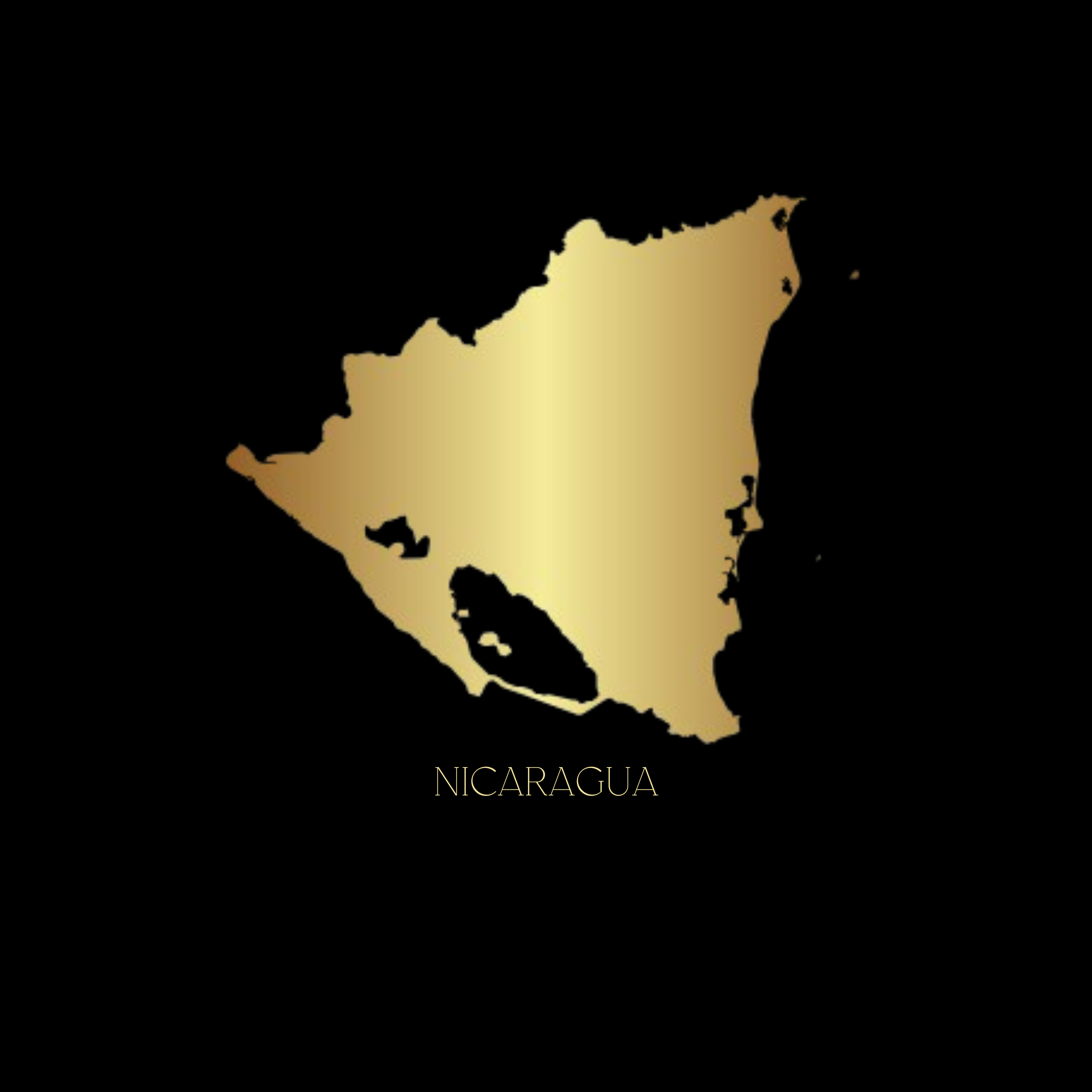 Perdomo 20th Anniversary Maduro Corona Grande | Havana City Cigar