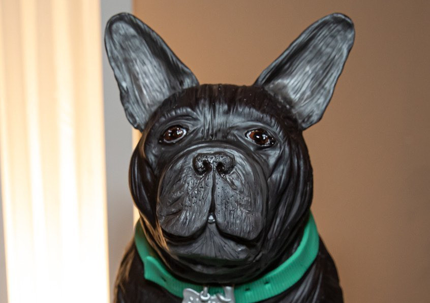 How to Make a 3D Sculpted Dog Cake: Step-by-Step Guide