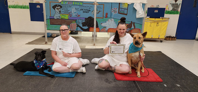 ABOUT | Paws In Prison