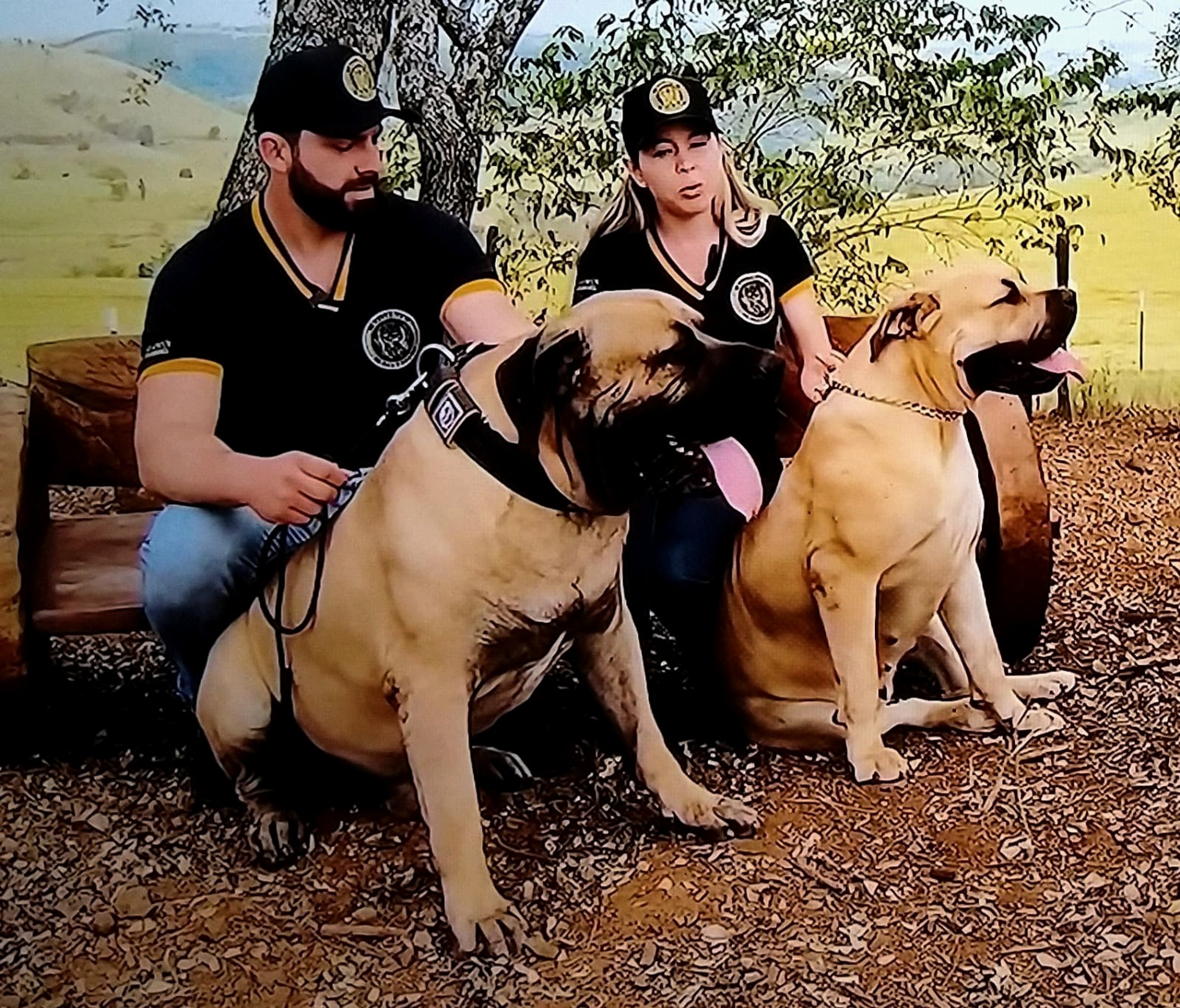Conheça o Borboel | Exclusive Boerboel