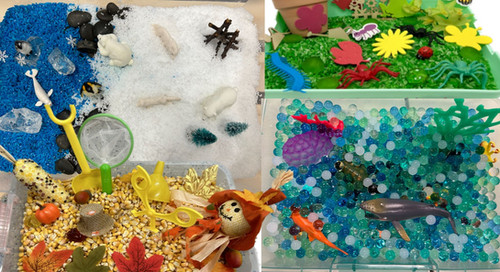 Seasons Sensory Bin subscription | TheScienceNerds