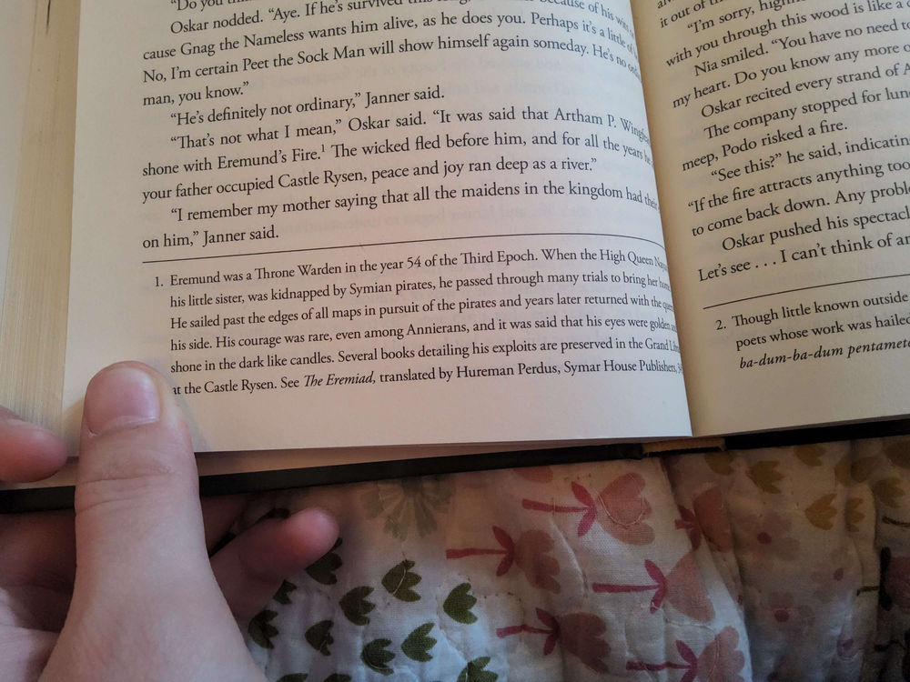 GUYS, WINGFEATHER BOOK QUESTION- | The Thwap House