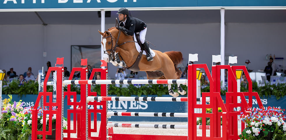 Horse Shows | Equine Photographer | Shannon Castaneda Photography