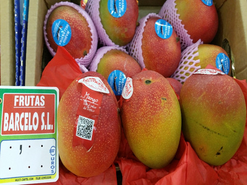 Mango Extra 500gr | frutaencasabarcelo