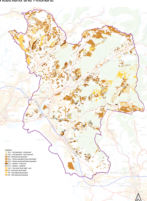 Heathland and Moorland | Neath Port Talbot Nature | NPT LNP