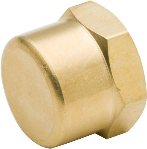 1/4" NPT Cap | Shooting Star Supply