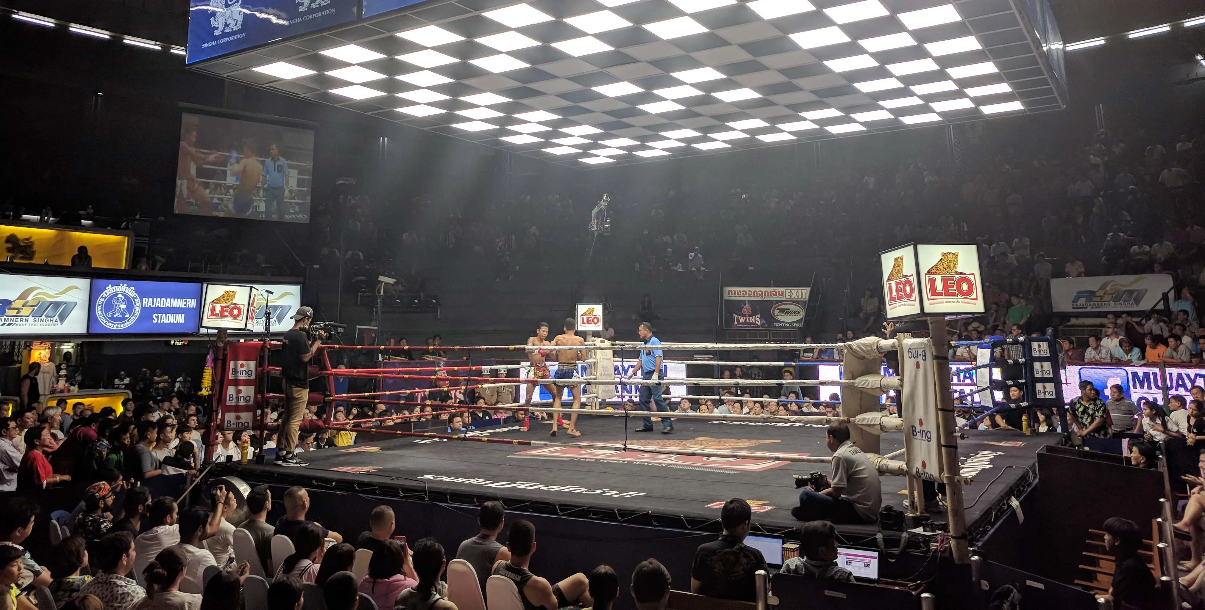 Inside the Ring: The Must-Know Requirements for Muay Thai Venues