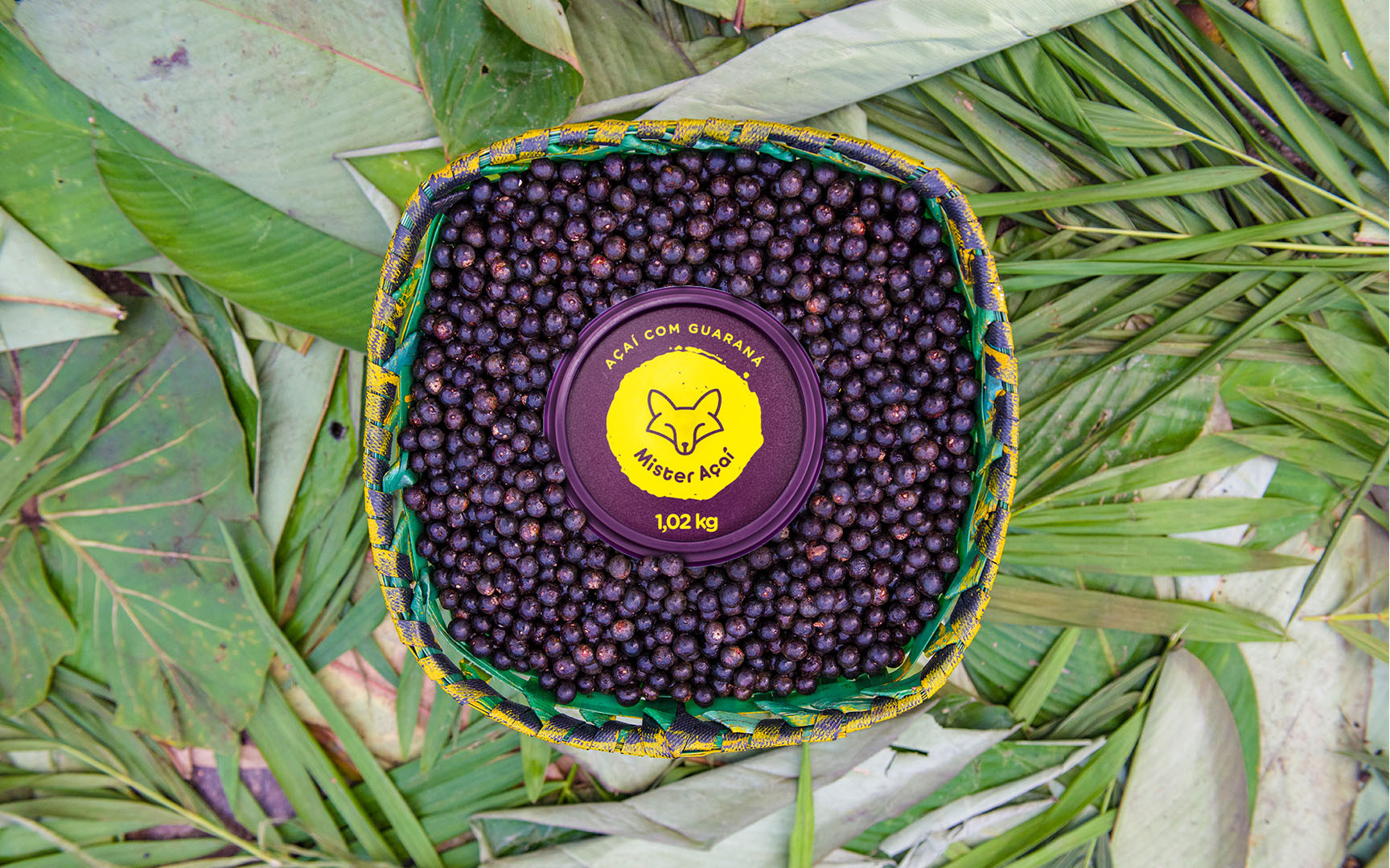 início | Mister Açaí