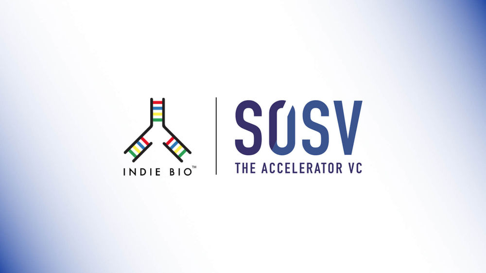 Spintex joins the IndieBio accelerator programme