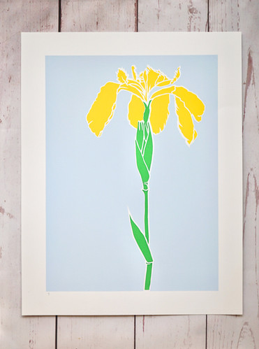 Iris art print, handmade limited edition screenprint of a yellow Iris ...