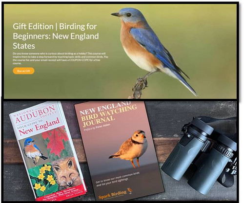 Bird Watching Course, Journal, Field Guide, Binoculars | Sparkbirding