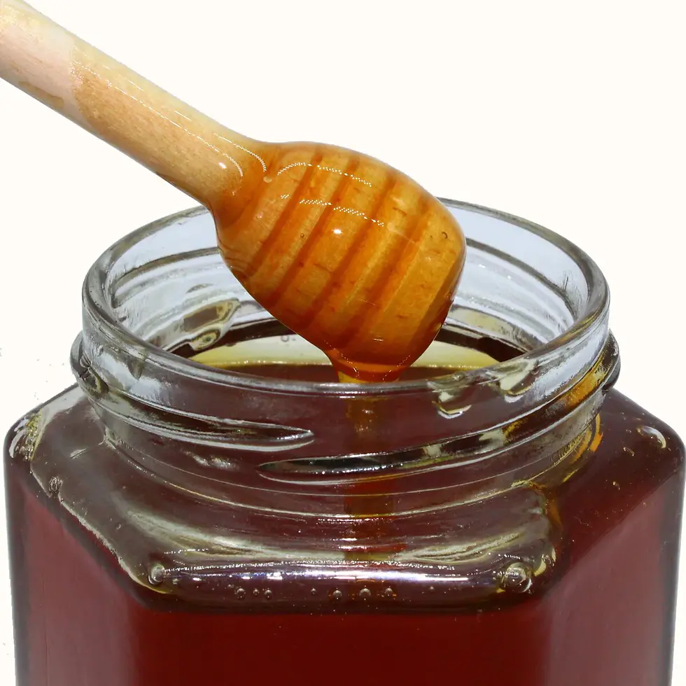 miel pura de abeja 500 grs | Aquies