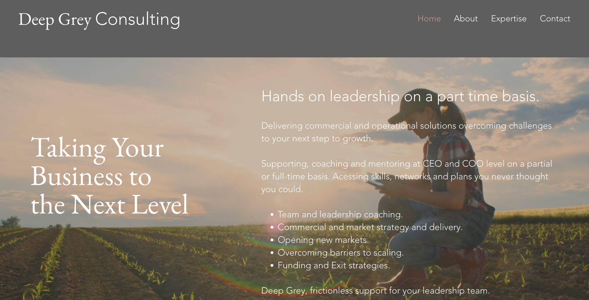Deep Grey Consulting | Commercial planning