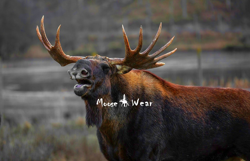 Handcrafted Clothing/Moose Wear Colorado