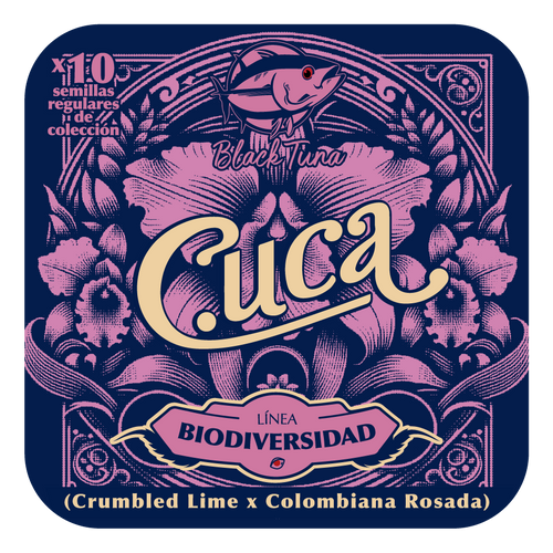 Cuca | Benedicti Colombia