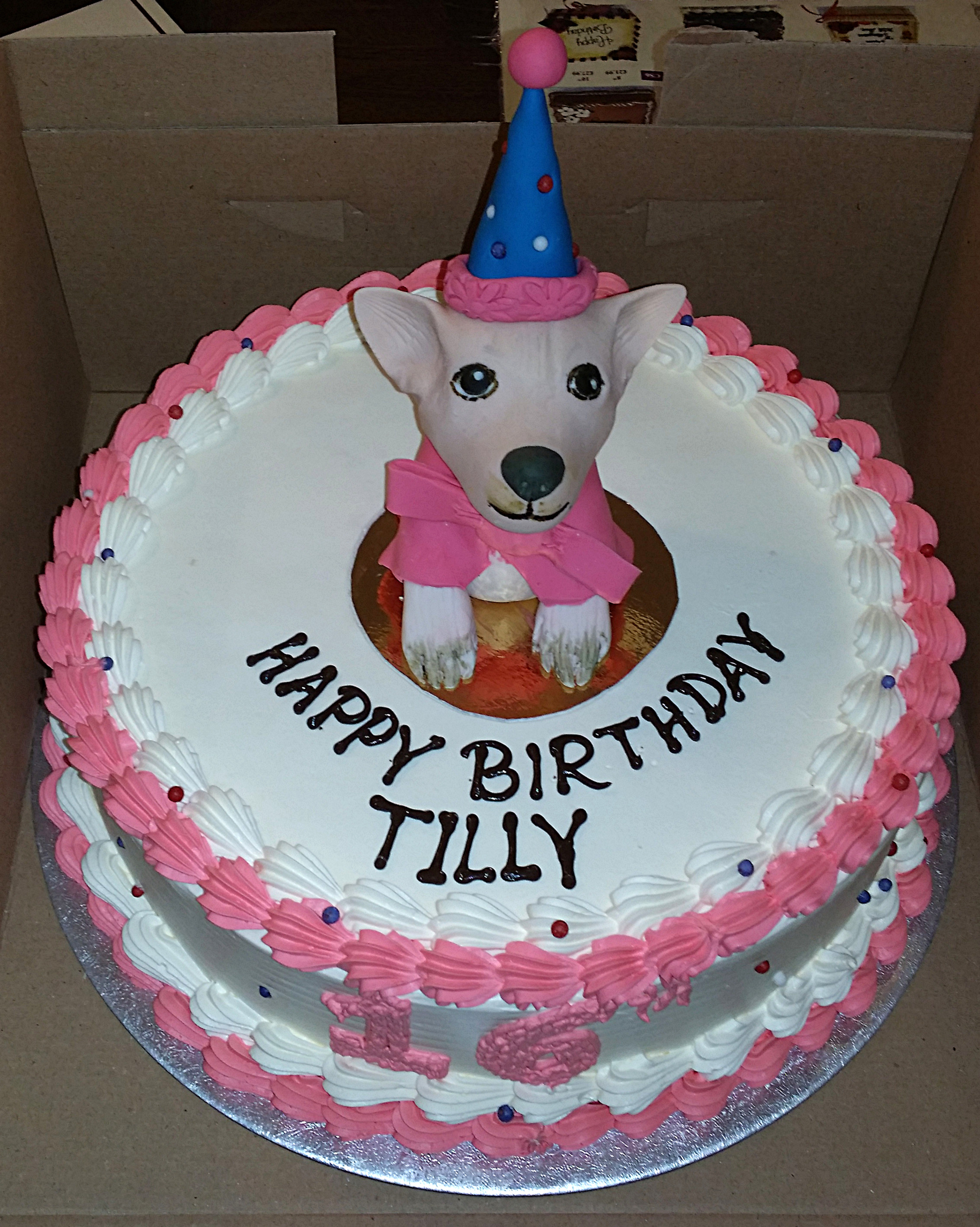 cm88 | The Cake Story | Colchester