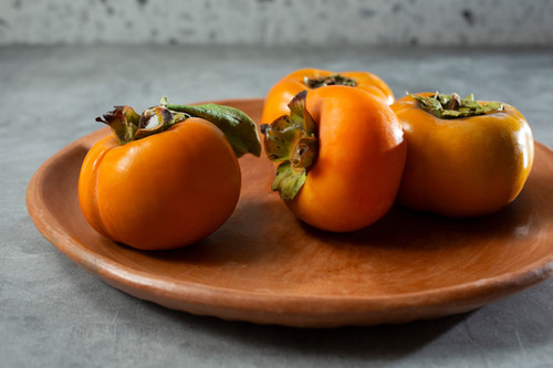 Fuyu Persimmon Tree | Buy Potted Plants