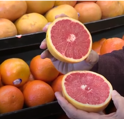 Star Ruby Red Grapefruit Tree For Sale Online | Shrubs & Trees Depot