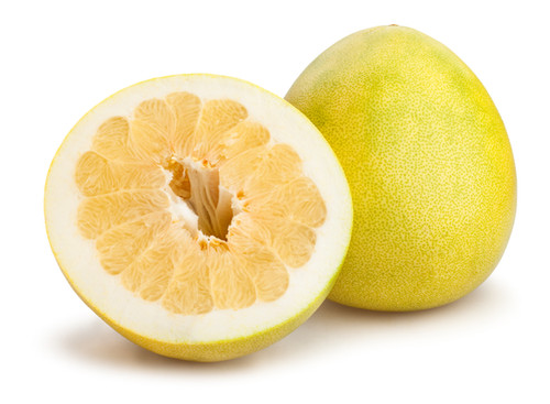 Potted Valentine Pummelo | Buy Potted Plants