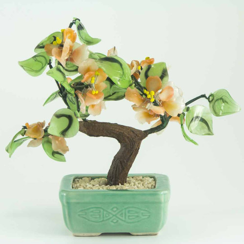 Potted Flowering Trees | Buy Potted Plants