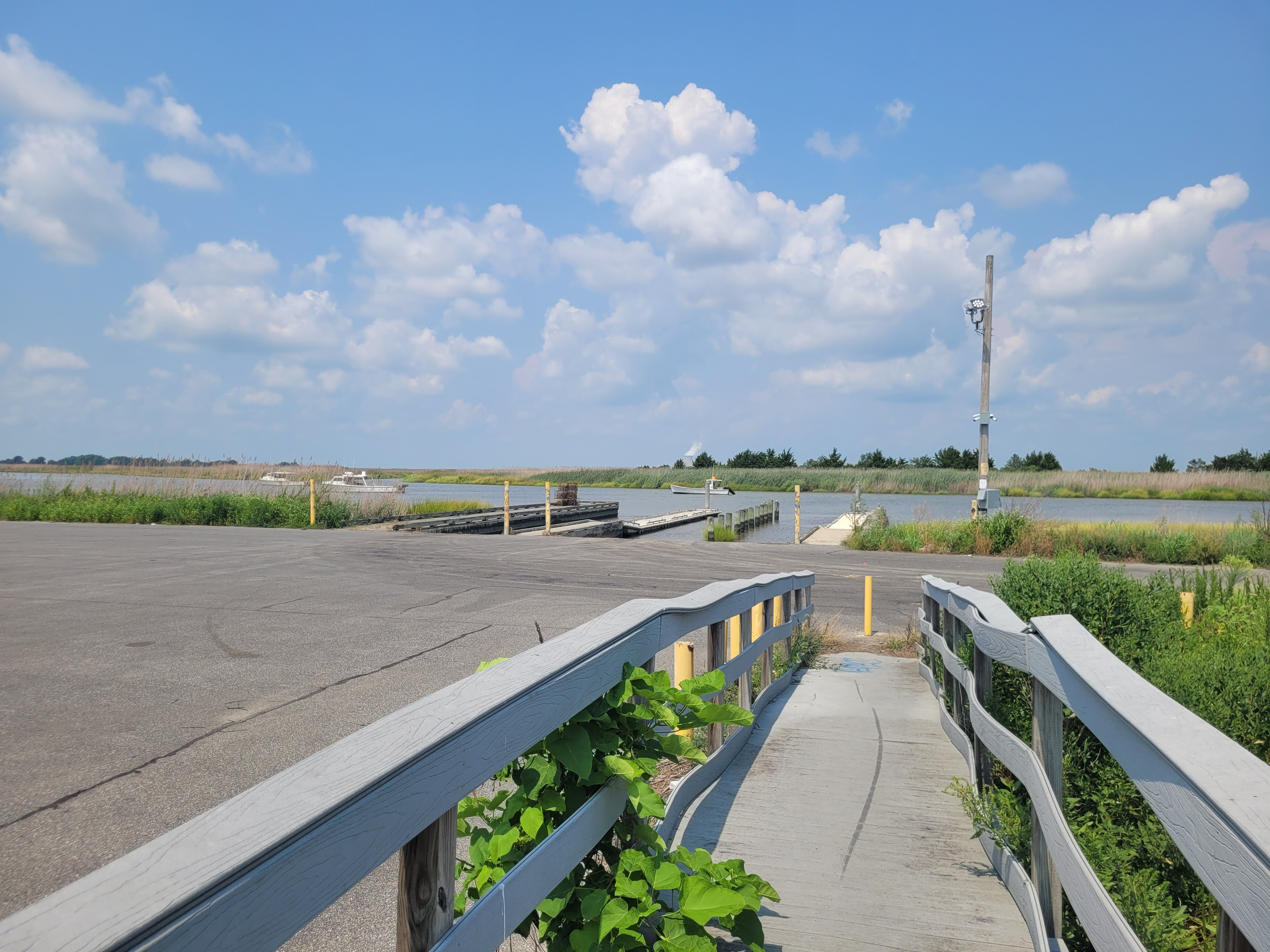 Cedar Swamp Wildlife Area Collins Landing