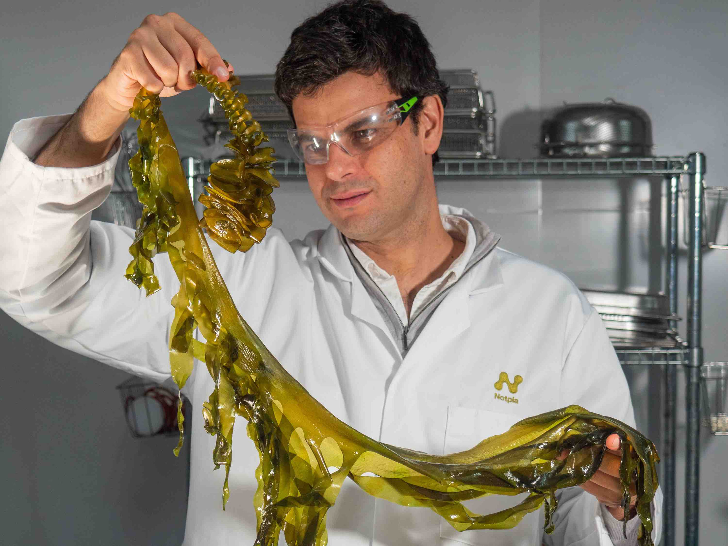 Notpla Secures £20 Million to Expand Sustainable Packaging Solutions ...