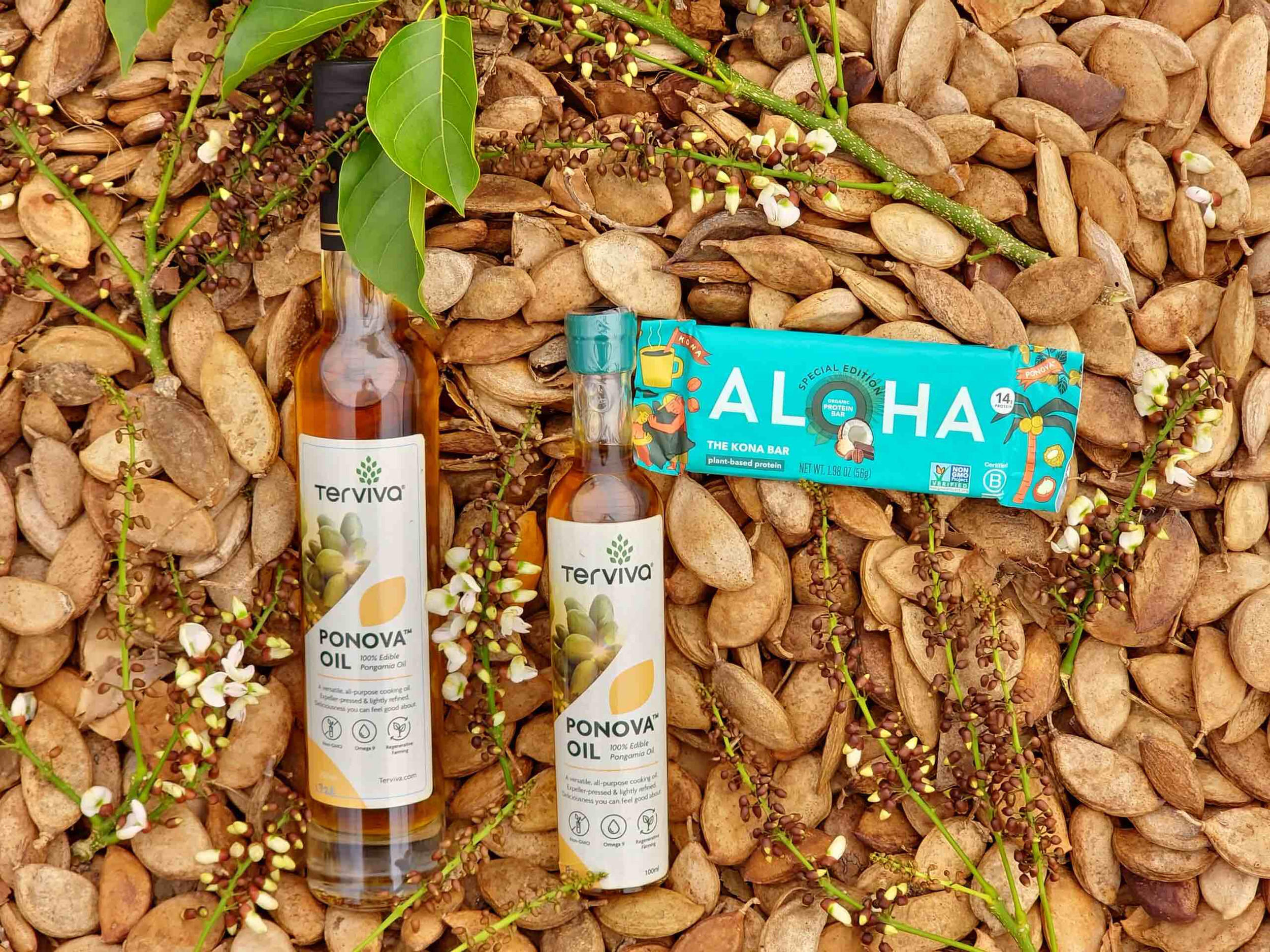 Pioneering Sustainability: ALOHA and Terviva’s Collaborative Venture ...