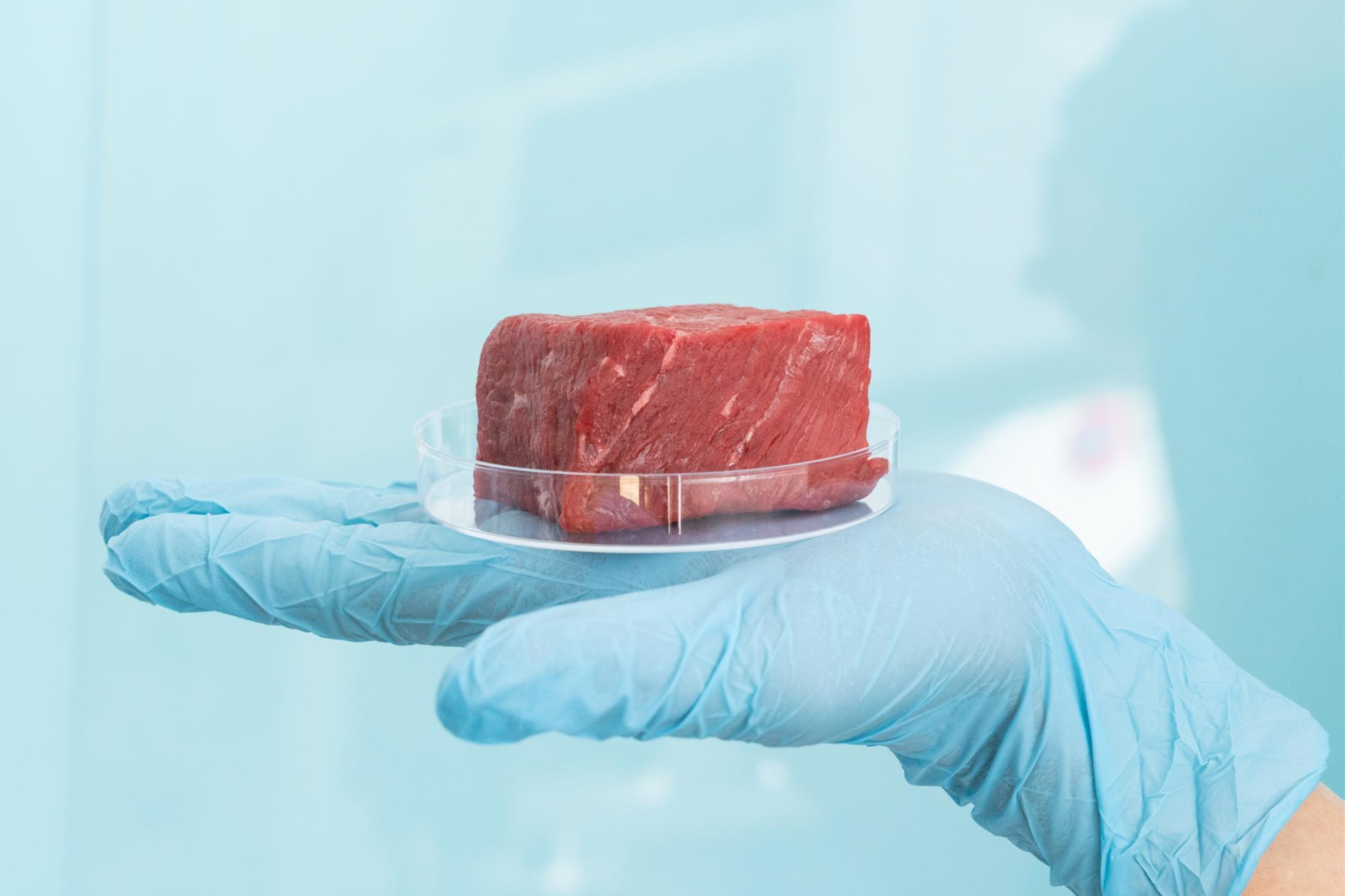 The Netherlands Pioneers Cultivated Meat Tasting: A New Era in ...