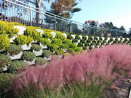 Vegetated Retaining Wall | outdoorlivingpa
