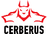 Large Event Security in Austin, TX | Cerberus Security