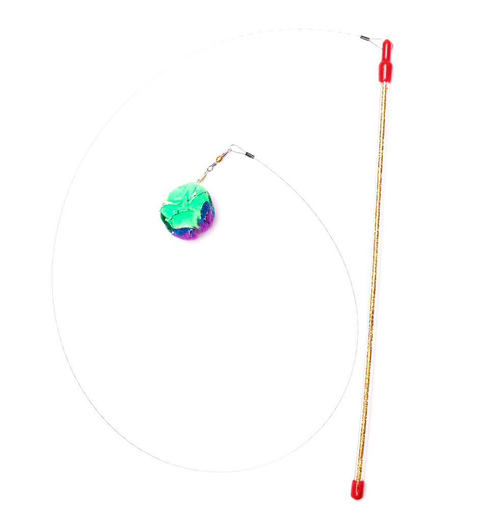 Go Cat Feather Toys | Chris the Cat