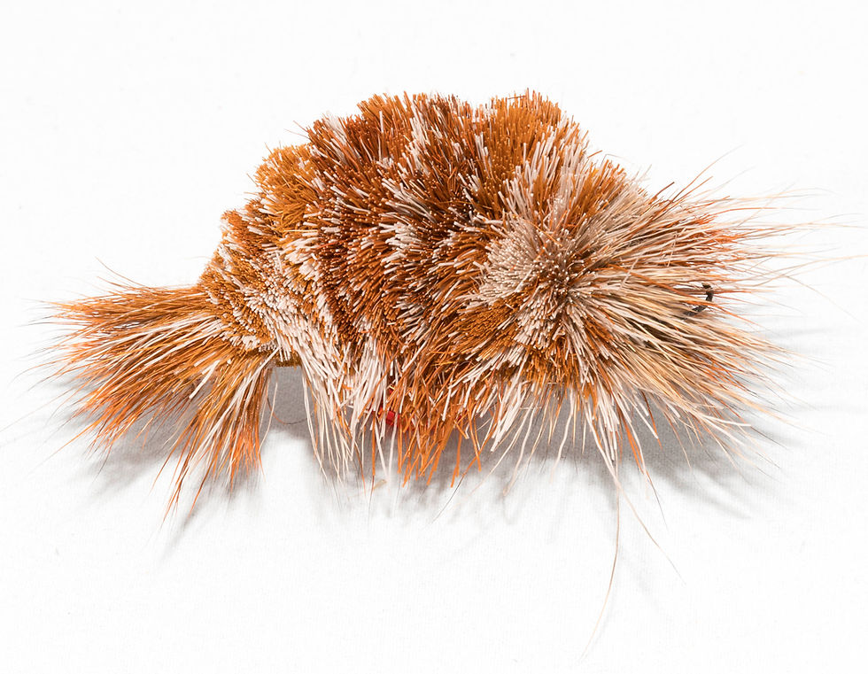 Cat Lures | Chris the Cat 5/5