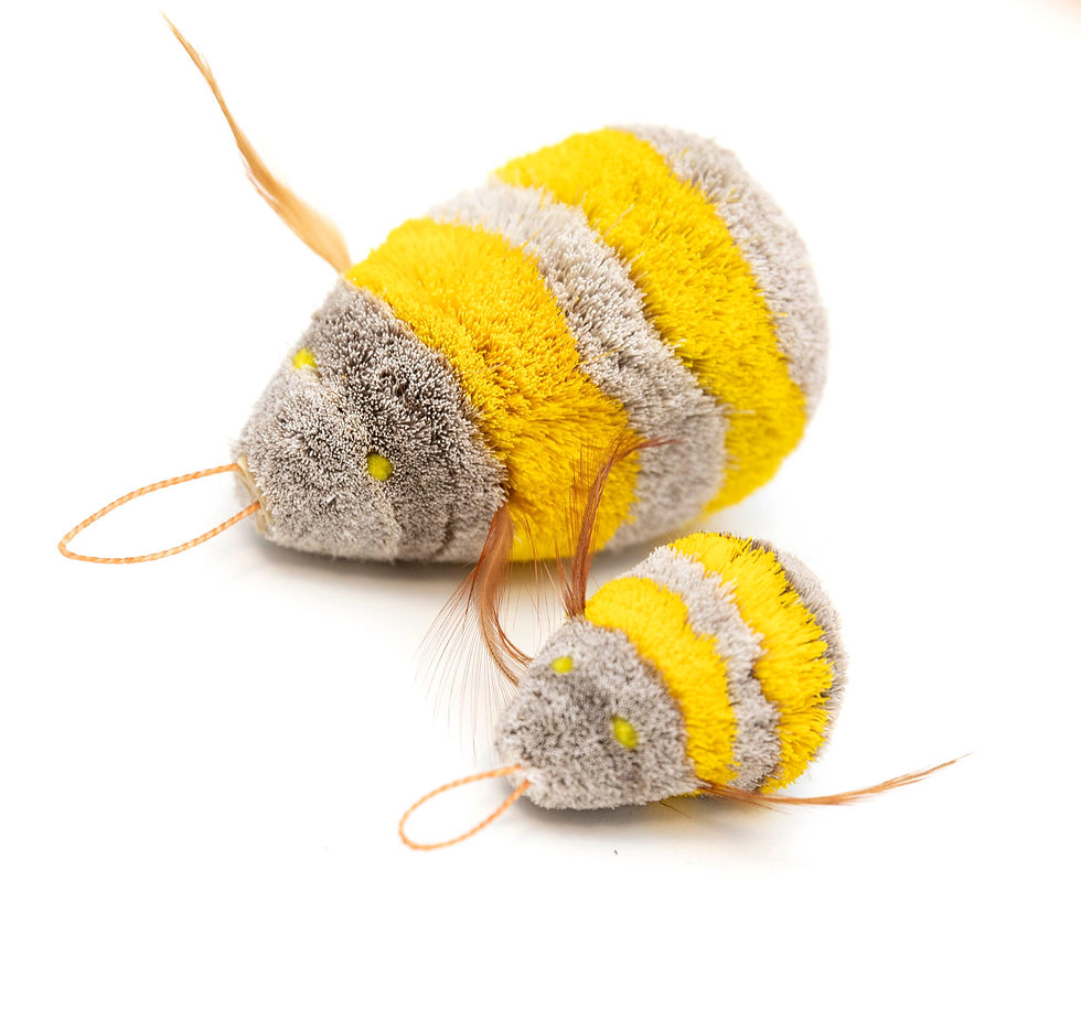 All Products | Chris the Cat