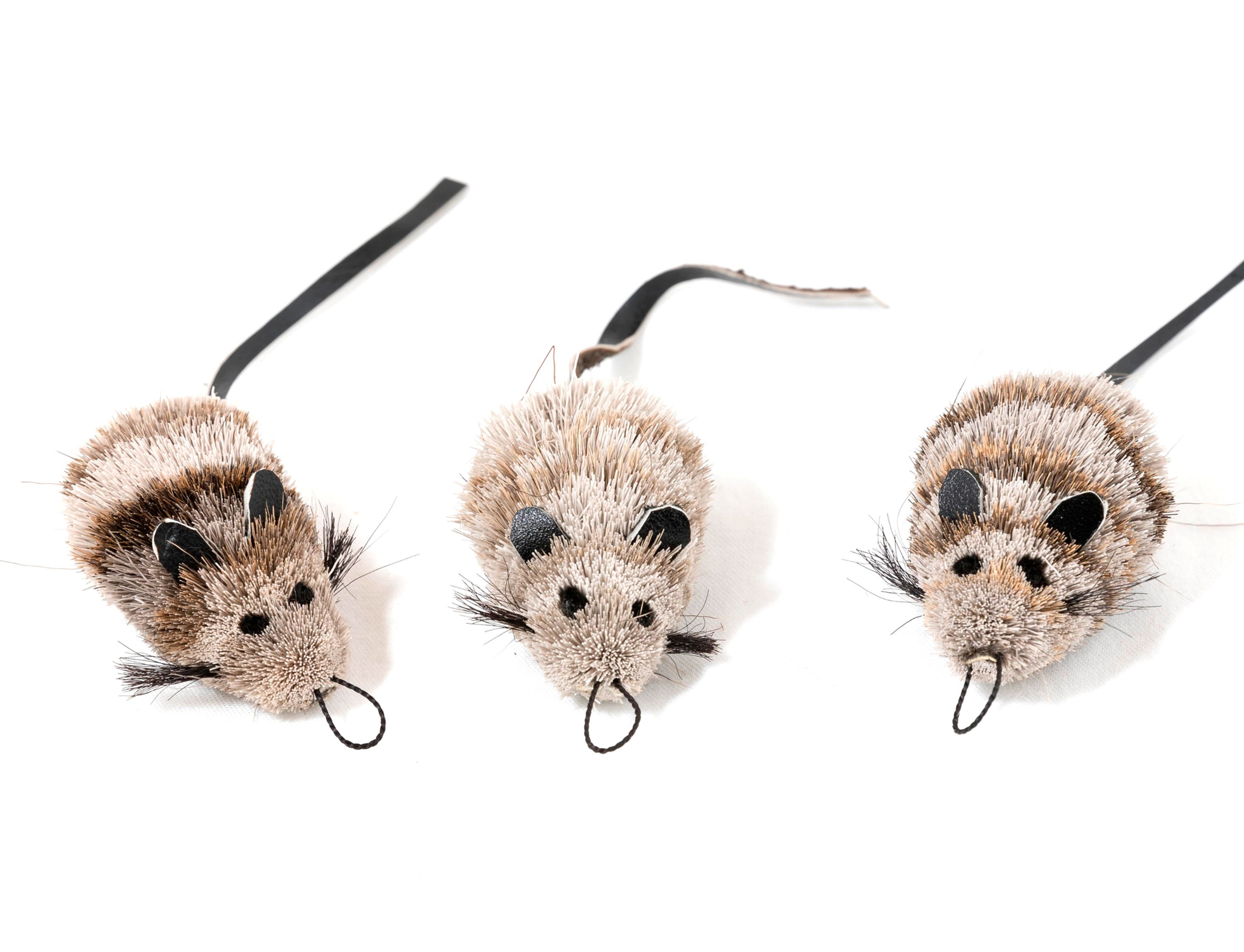 Cat Catcher 3 Pack | Chris the Cat