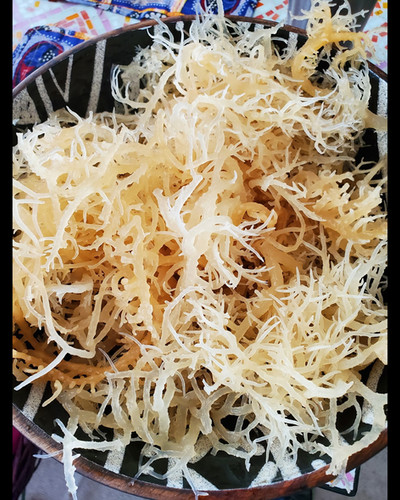 Irish Sea Moss | Brigmon Farms LLC