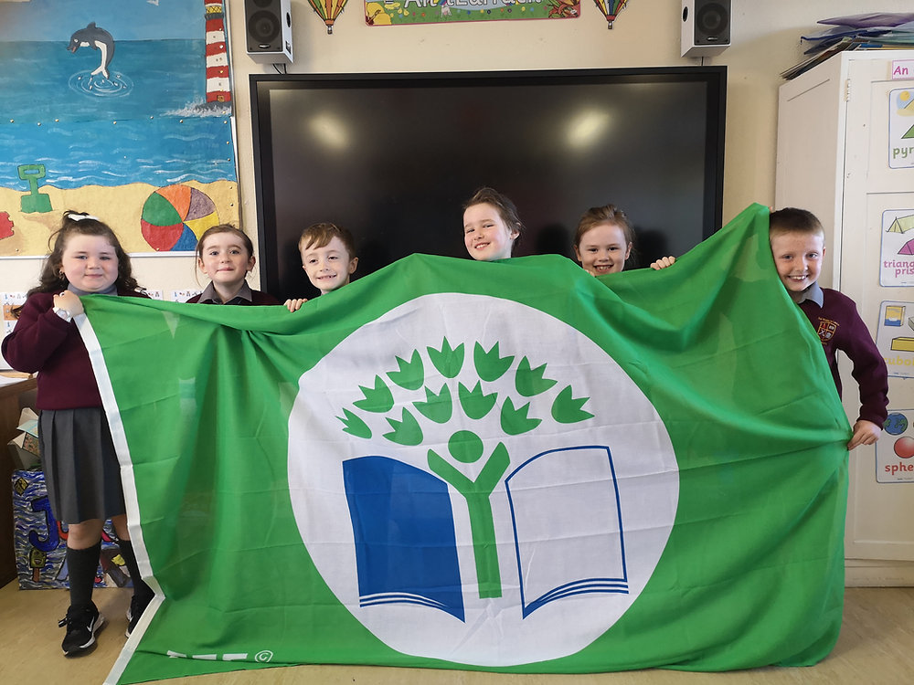 Green Schools Flag