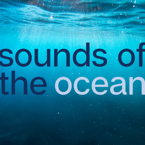 Immersive Sound Experience | Sounds of the Ocean