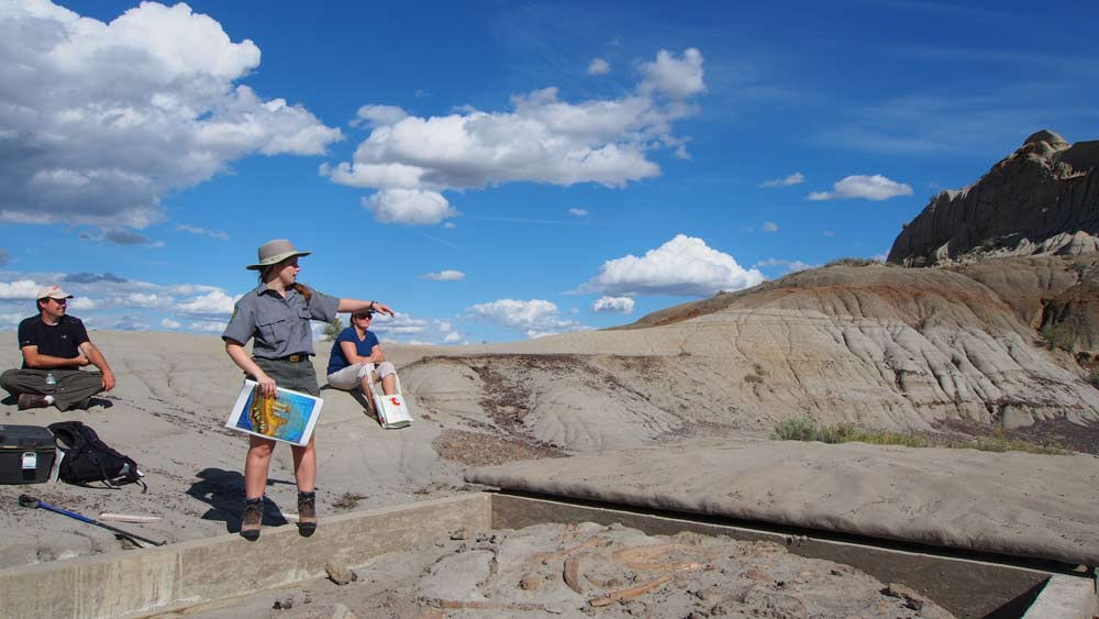 Big Bucks in Skull-duggery Means Less Soft Tissue | The Dinosaur Project