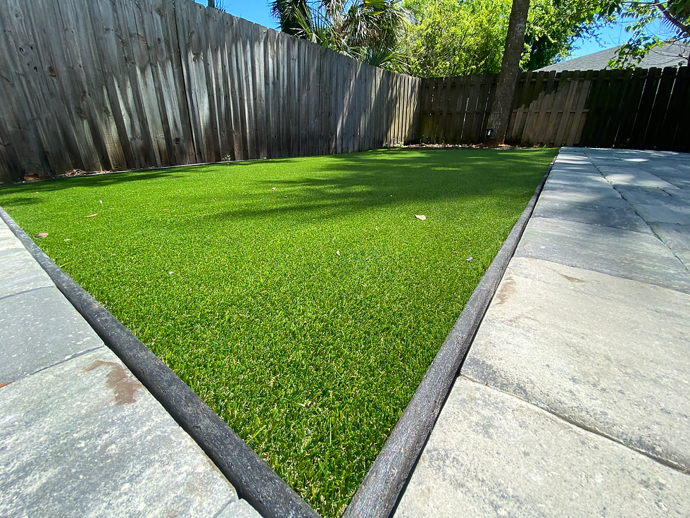 Our Projects (beachscapes)