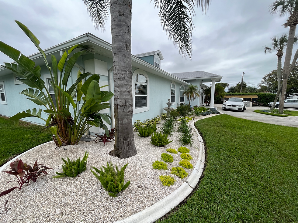 Our Projects (beachscapes)