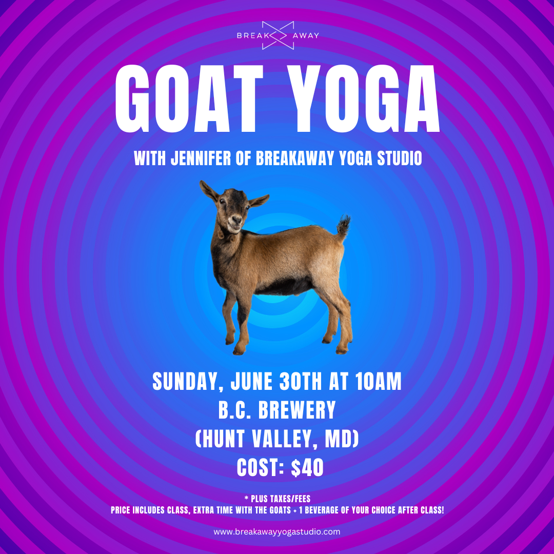 Goat Yoga at B.C. Brewery | BreakAway Yoga