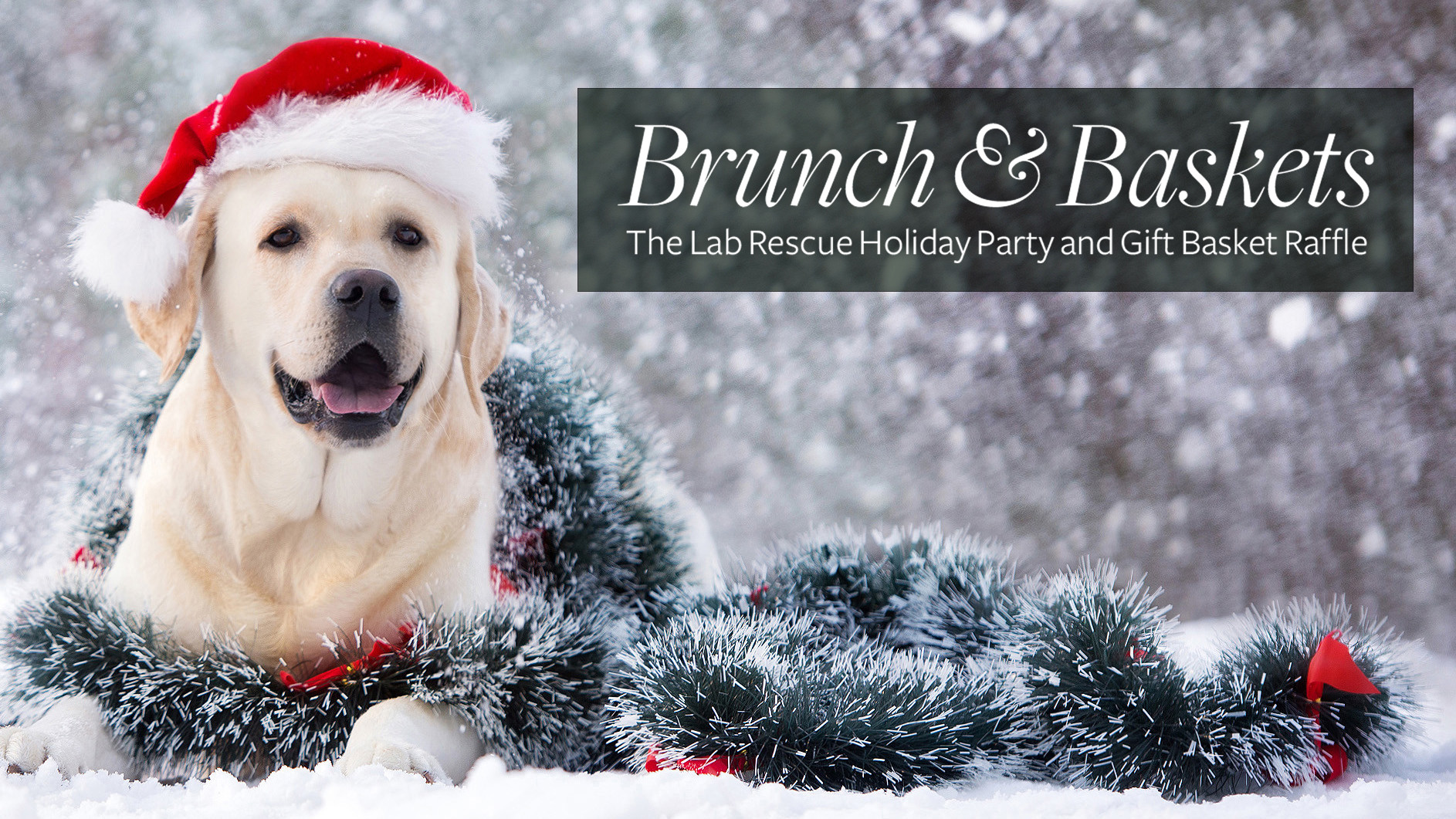 Lab Rescue's Annual Holiday Party