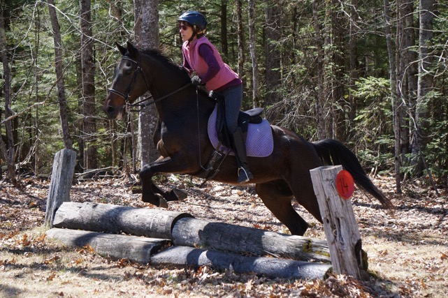 Futures For Standardbreds | About The Breed | US