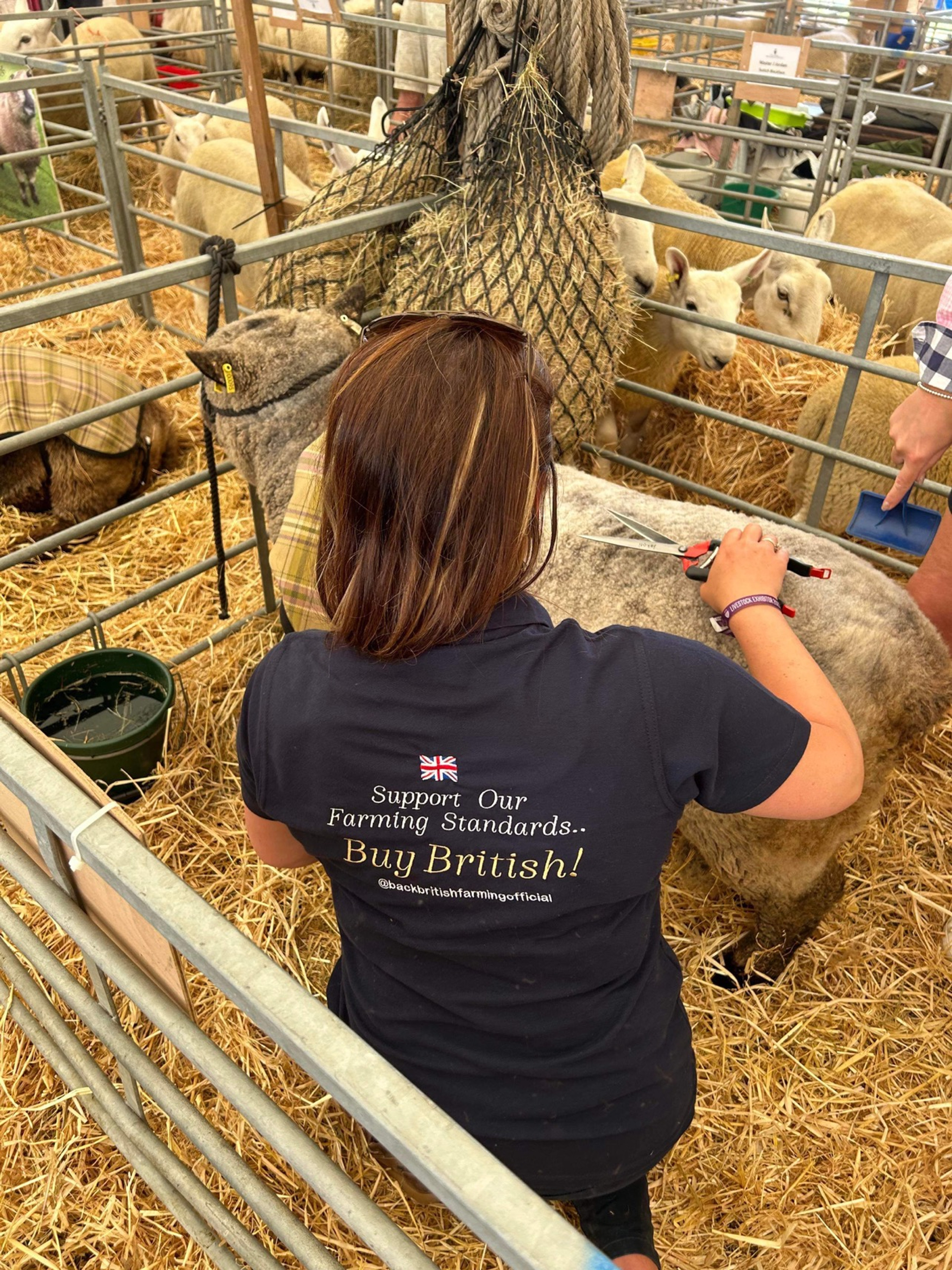 BUY BRITISH Logo | Back British Farming