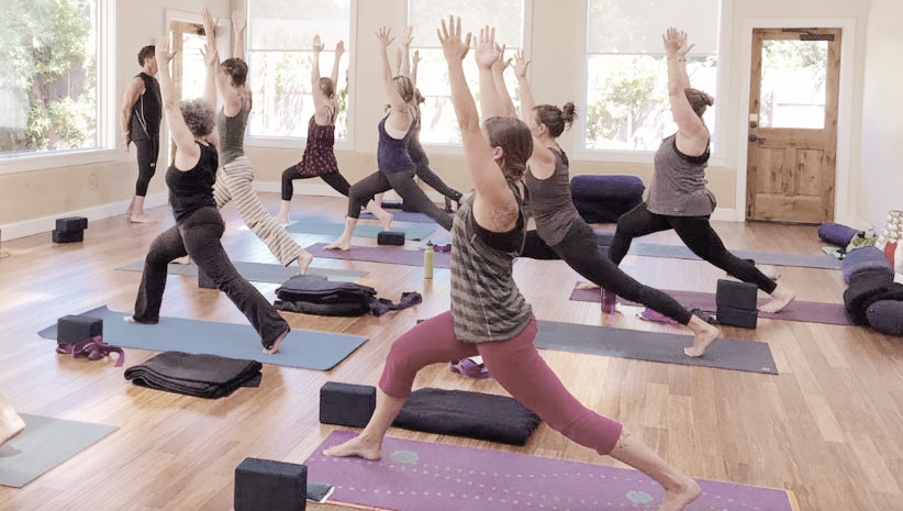 Ayurveda's Role in Yoga Therapy: A Holistic Approach to Wellness${post ...